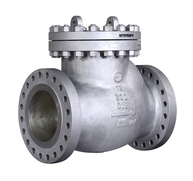 Buy L&T 3 inch Manual WCB Check Valves RF Trim 8 IBR, BC online at best ...