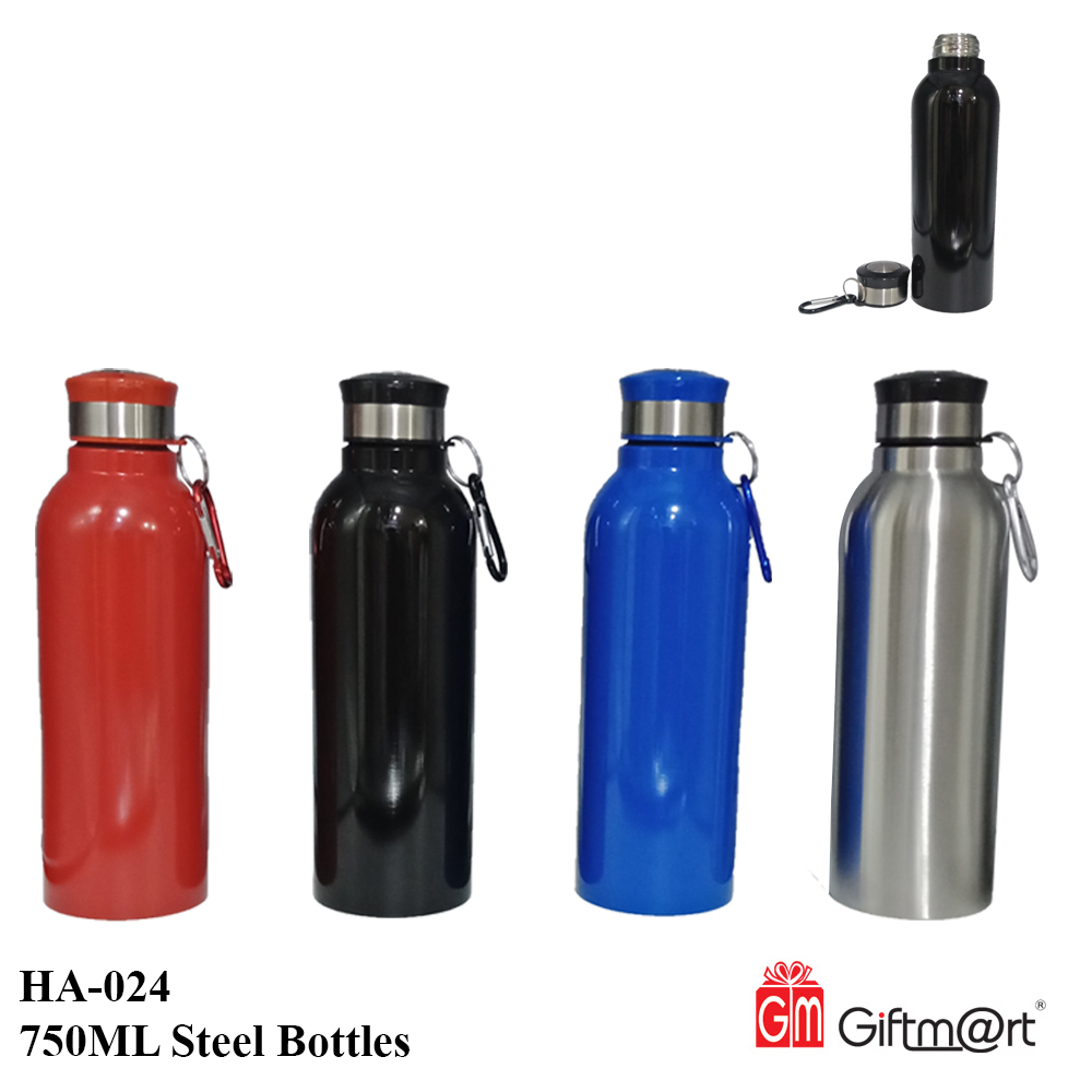 Buy HA-024 Flask Steel 750 mL Bottles online at best rates in India | L ...
