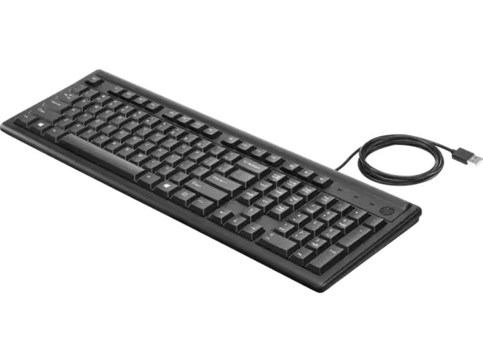 Buy HP 100 Wired Computer Keyboard online at best rates in India | L&T ...