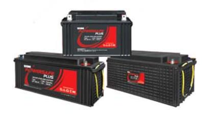 Buy EXIDE EP12-200 Sealed 12 V 200 Ah Lead Acid Batteries online at ...