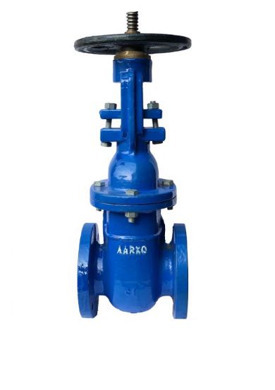 Buy Rising Spindle Sluice Valves 50 mm – 600 mm PN 16 online at best ...
