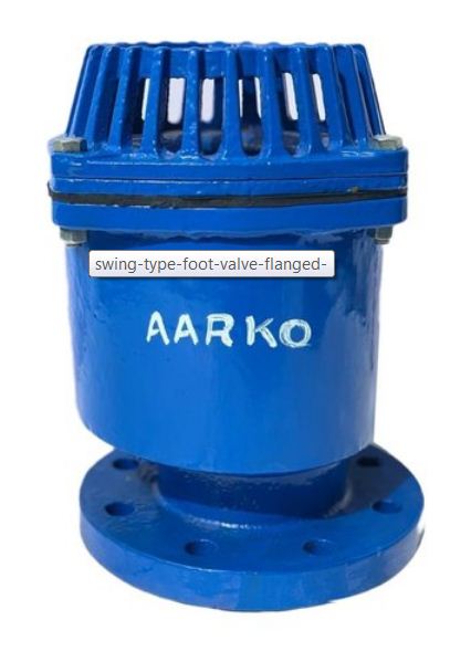 Buy Aarko Cast Iron Flanged End Foot Control Valves online at best ...
