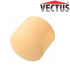 Buy Vectus CPVC End Plugs 3 inch online at best rates in India | L&T-SuFin
