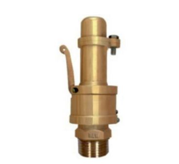 Buy WEE Spring Type Safety Valve 1 inch SV01 online at best rates in ...