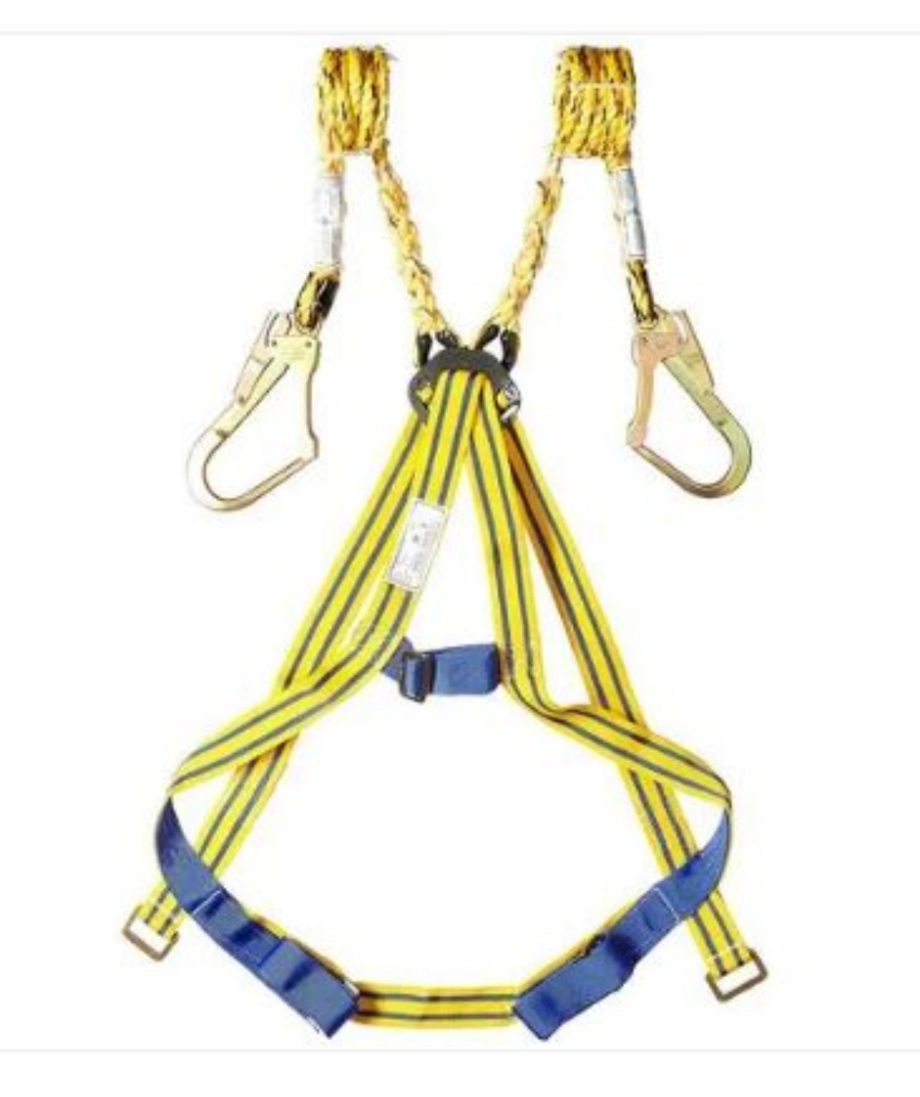 Buy Nylon Full Body Double Rope Scaffold Hook Safety Harness Free Size ...