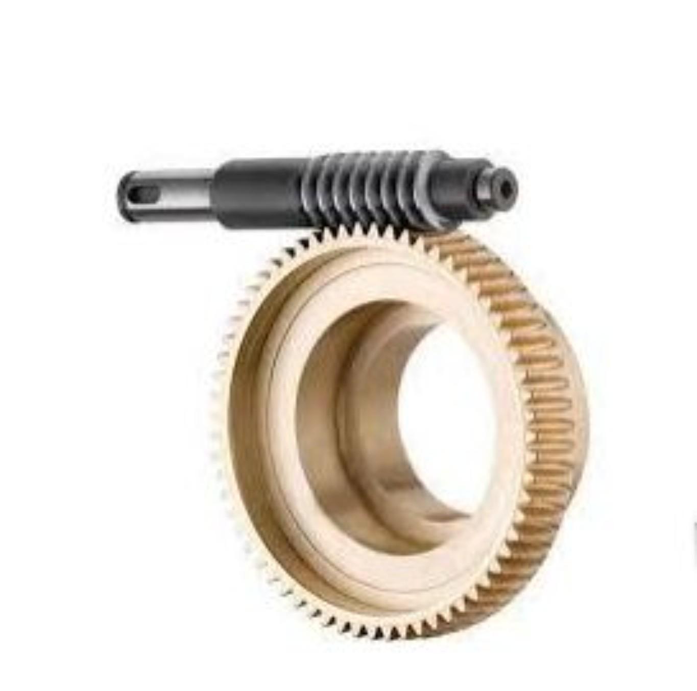 Buy Classic 2 module Worm Shaft KAG34658 8 Threads SS online at best ...