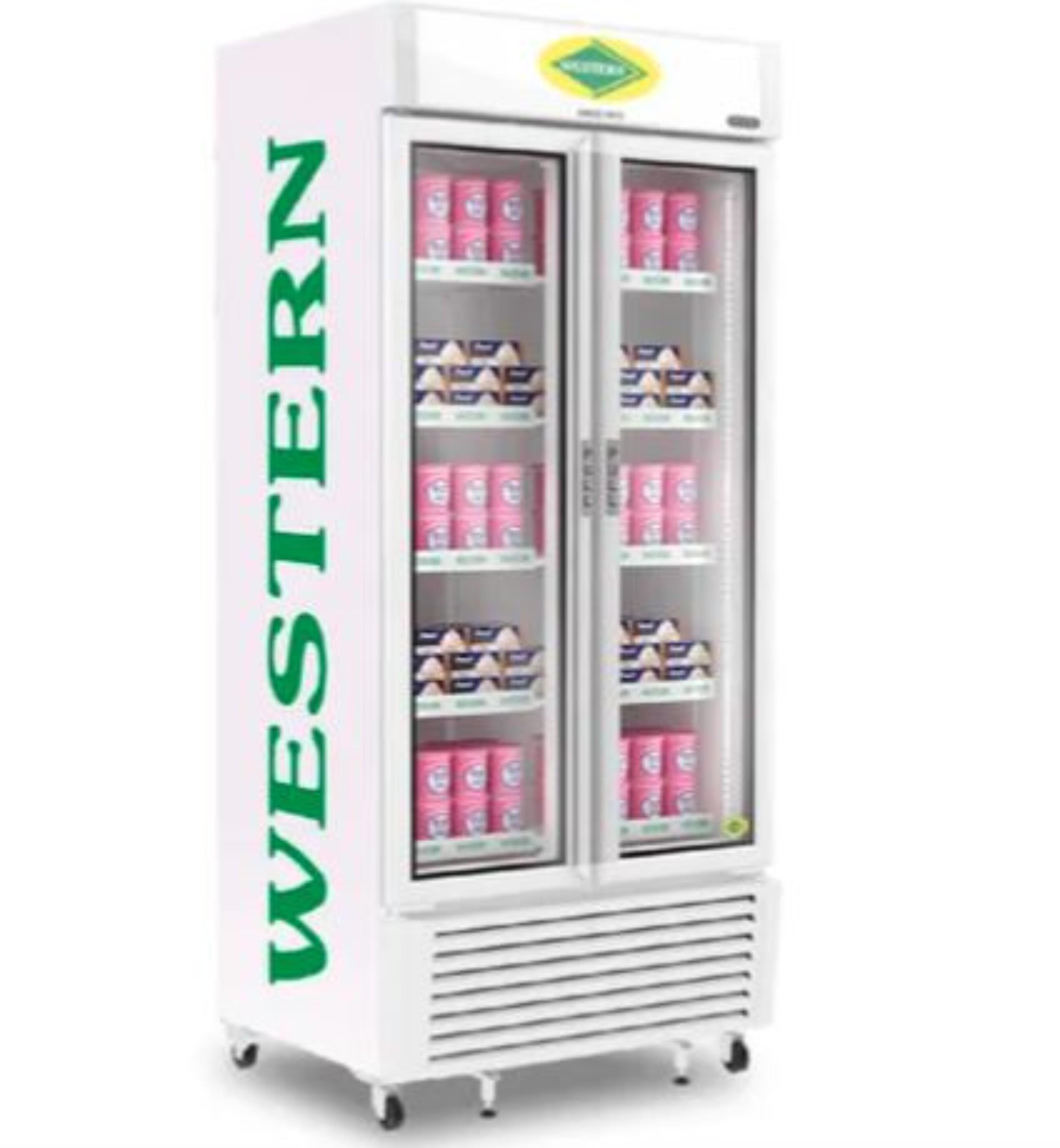 Buy WESTERN 1000 L Double Door Refrigerator 3 Star online at best rates ...