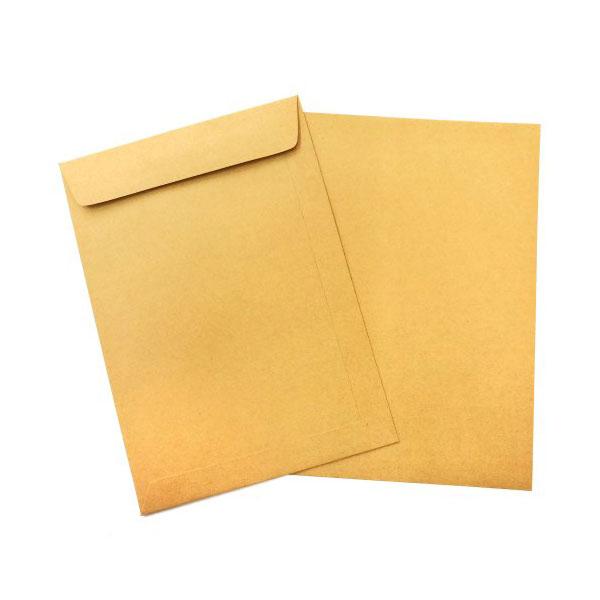 Buy medium Paper 80 gsm 10 x 12 inch Envelopes online at best rates in ...