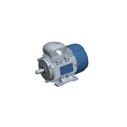 Buy Rotomotive 160MB-2 3000 rpm Three Phase 15 hp Double Pole Flange ...