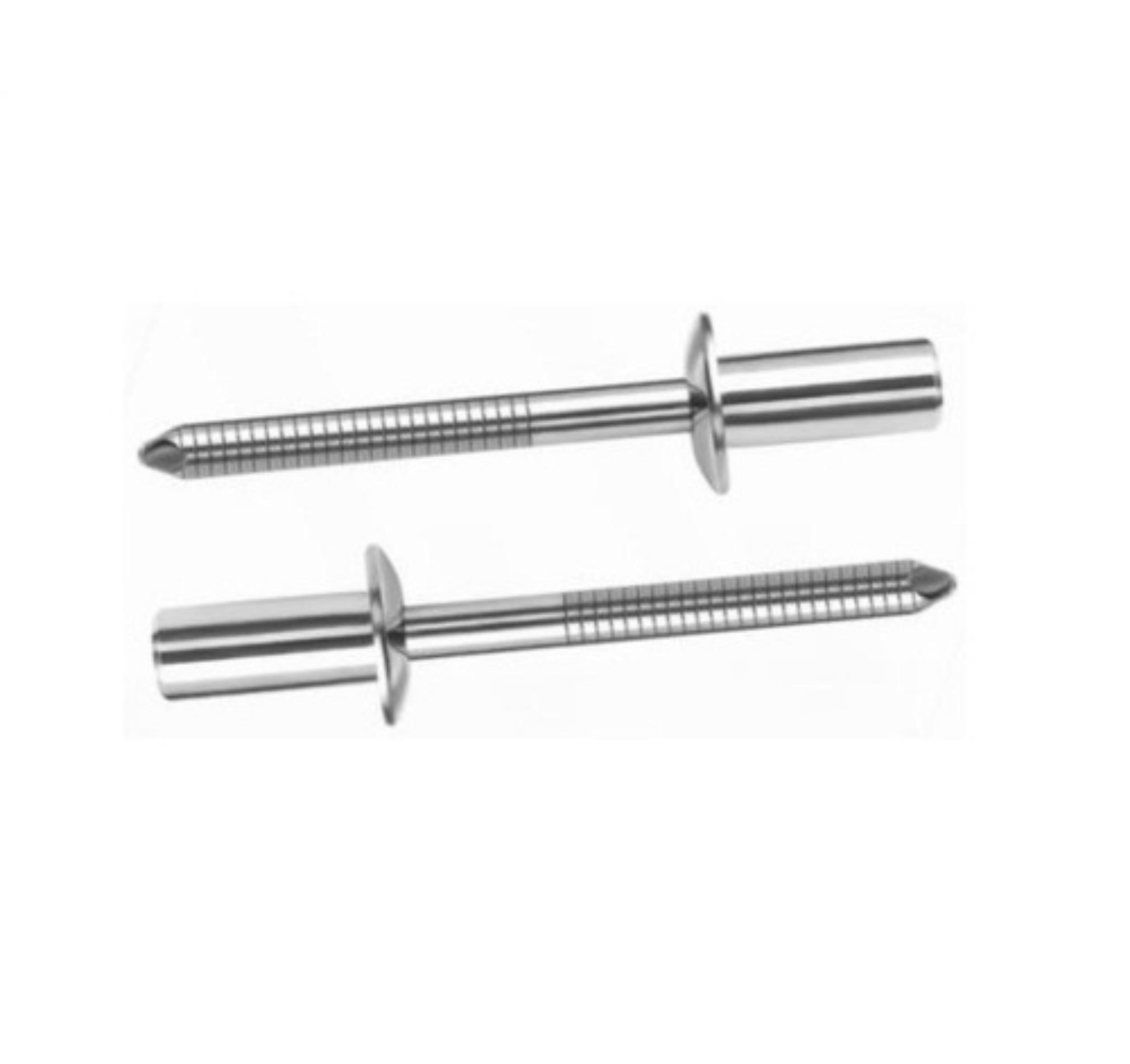 Buy Snap Head Rivet 4 x 16 mm Stainless Steel online at best rates in ...