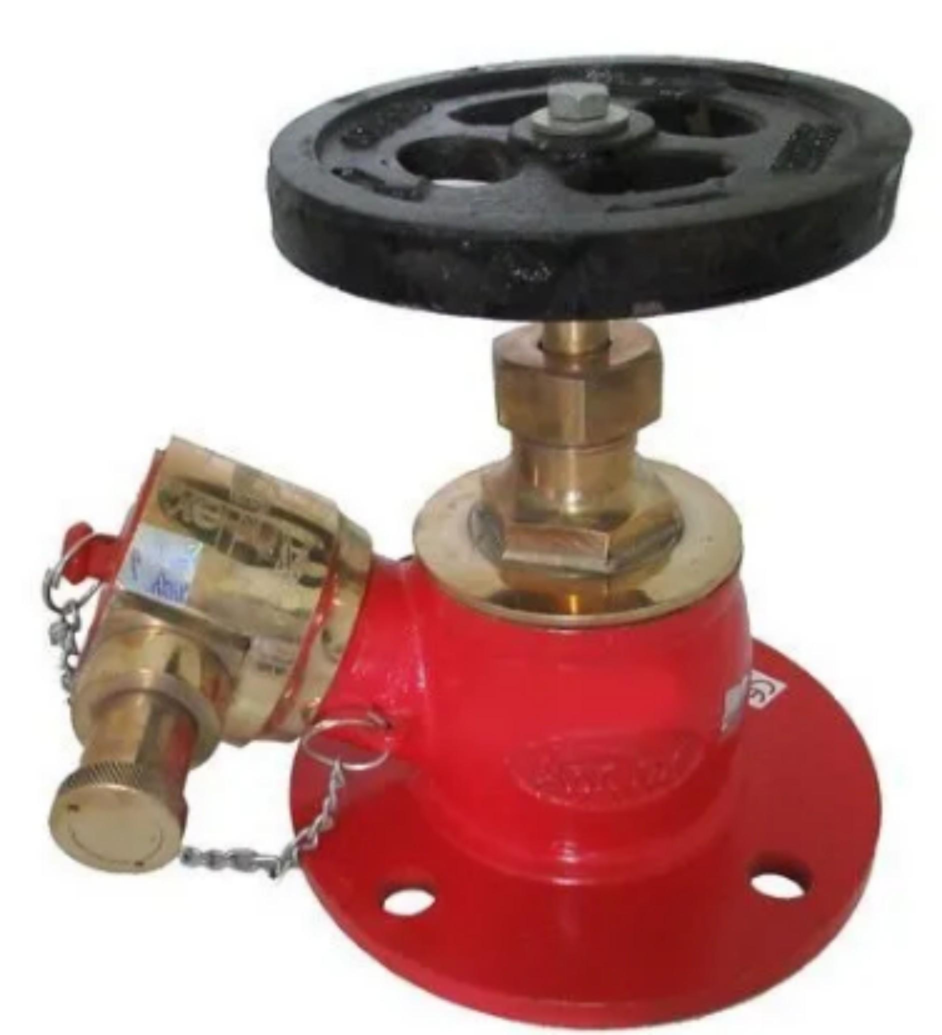Buy NOVEX Mild Steel Oblique Flanged Hydrant Valves online at best ...