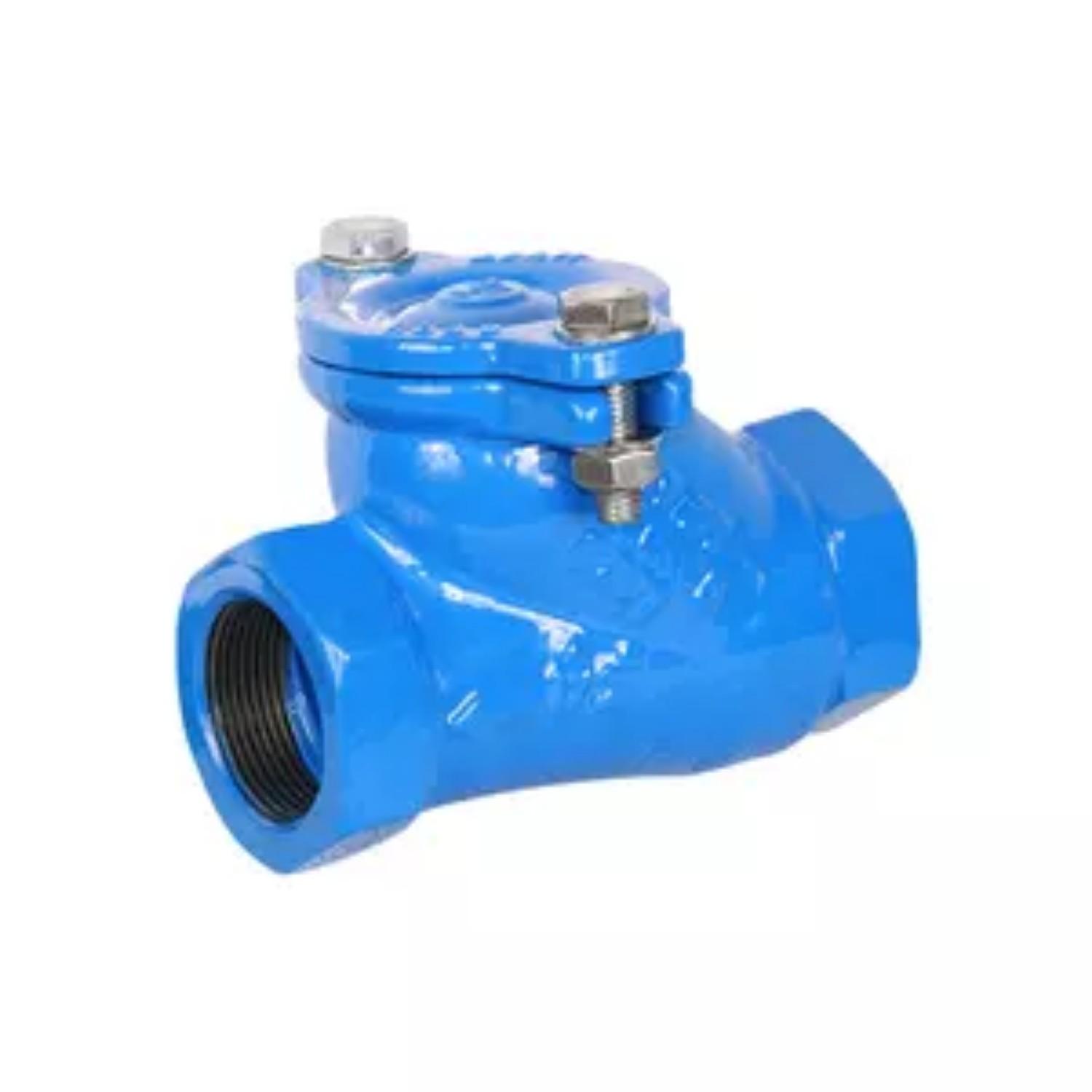 Buy Manual DI Non Return Valves DN 32 mm PN 25 online at best rates in ...