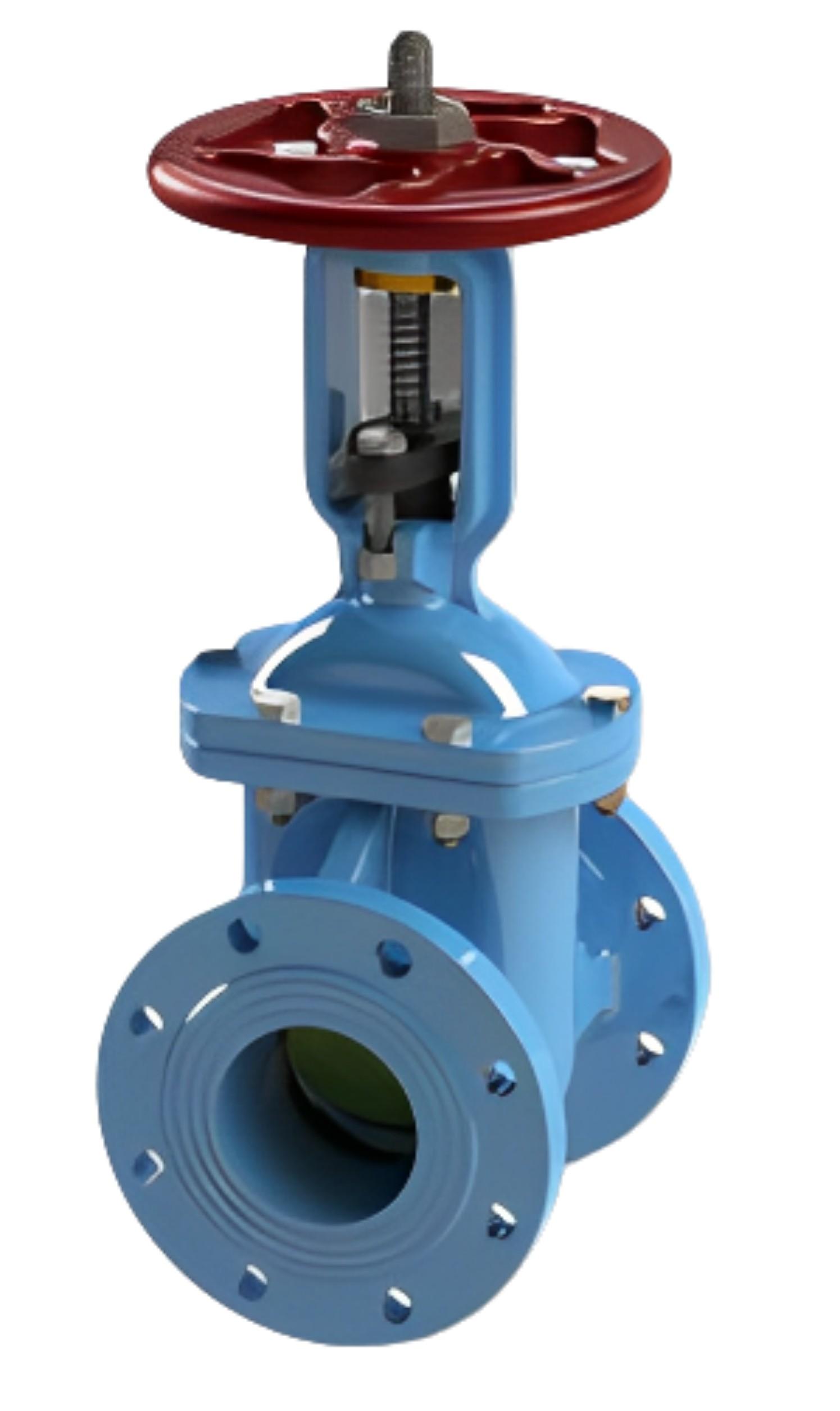 Buy NEO Manual CI Gate Valves 50 mm online at best rates in India | L&T ...