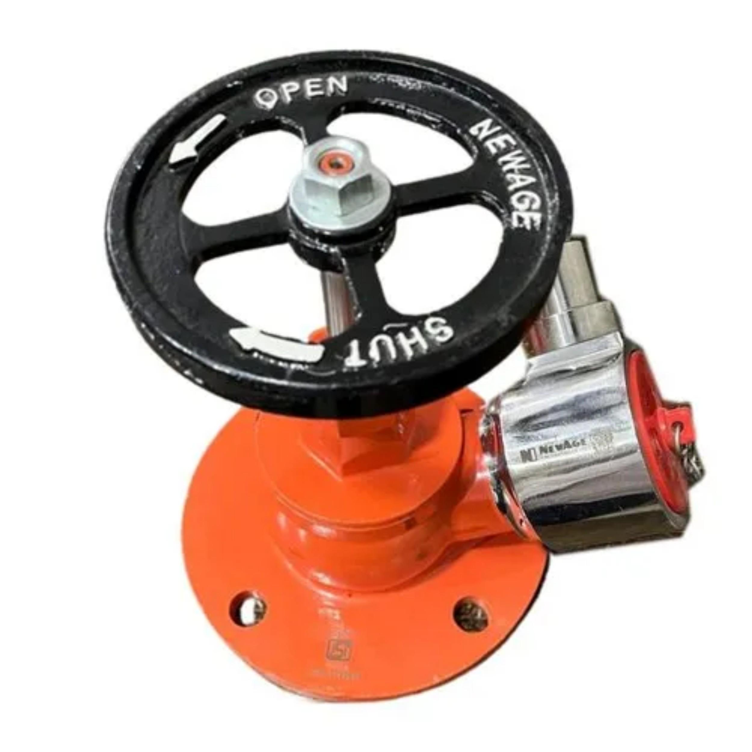 Buy NewAge Stainless Steel Oblique Flanged Hydrant Valves online at ...