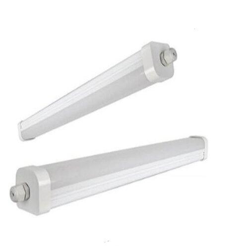 Buy Shine Plus 40 W T8 4 ft Tube Lights online at best rates in India ...