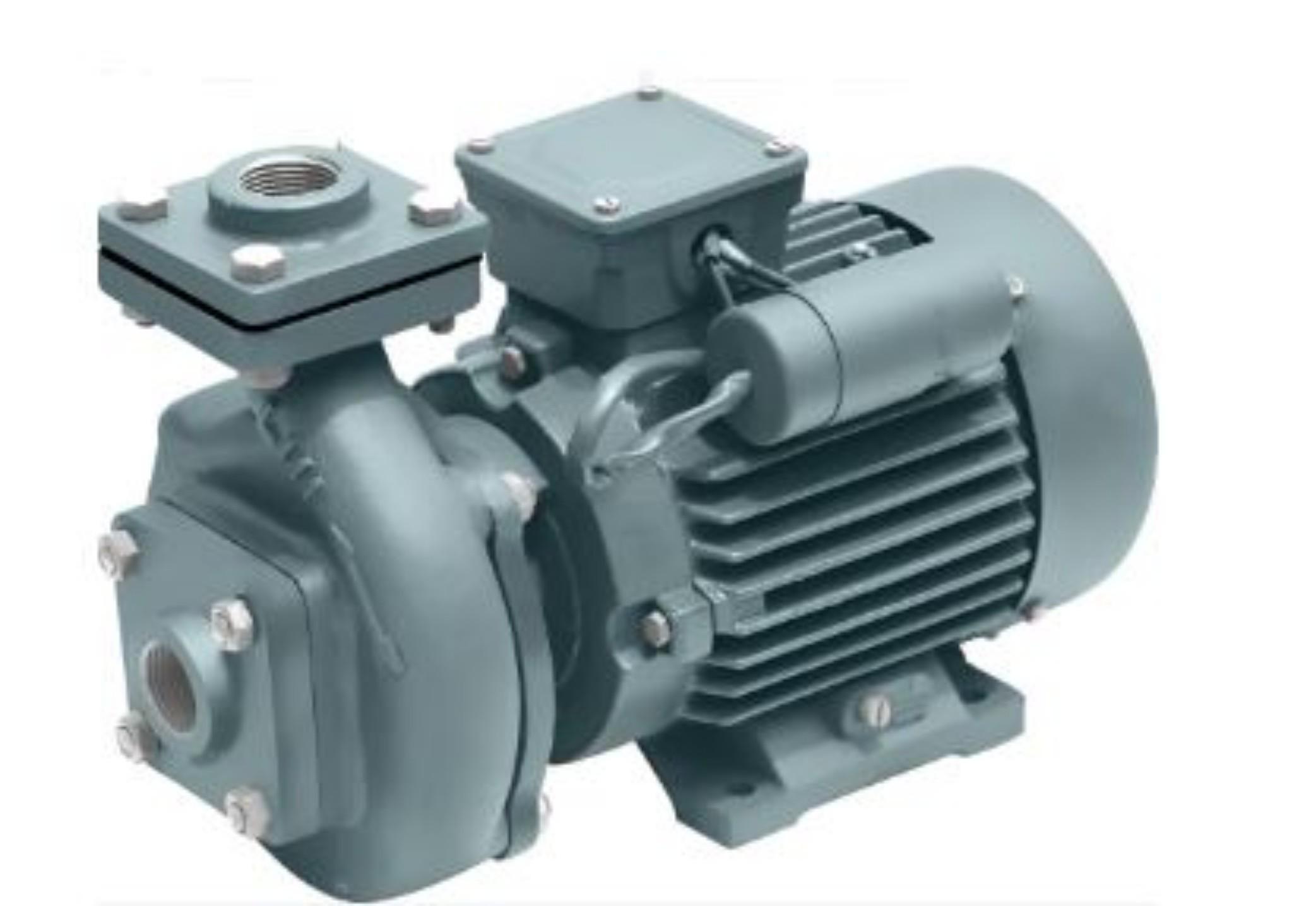 Buy 5 hp 2800 rpm Monoblock Pumps online at best rates in India | L&T-SuFin