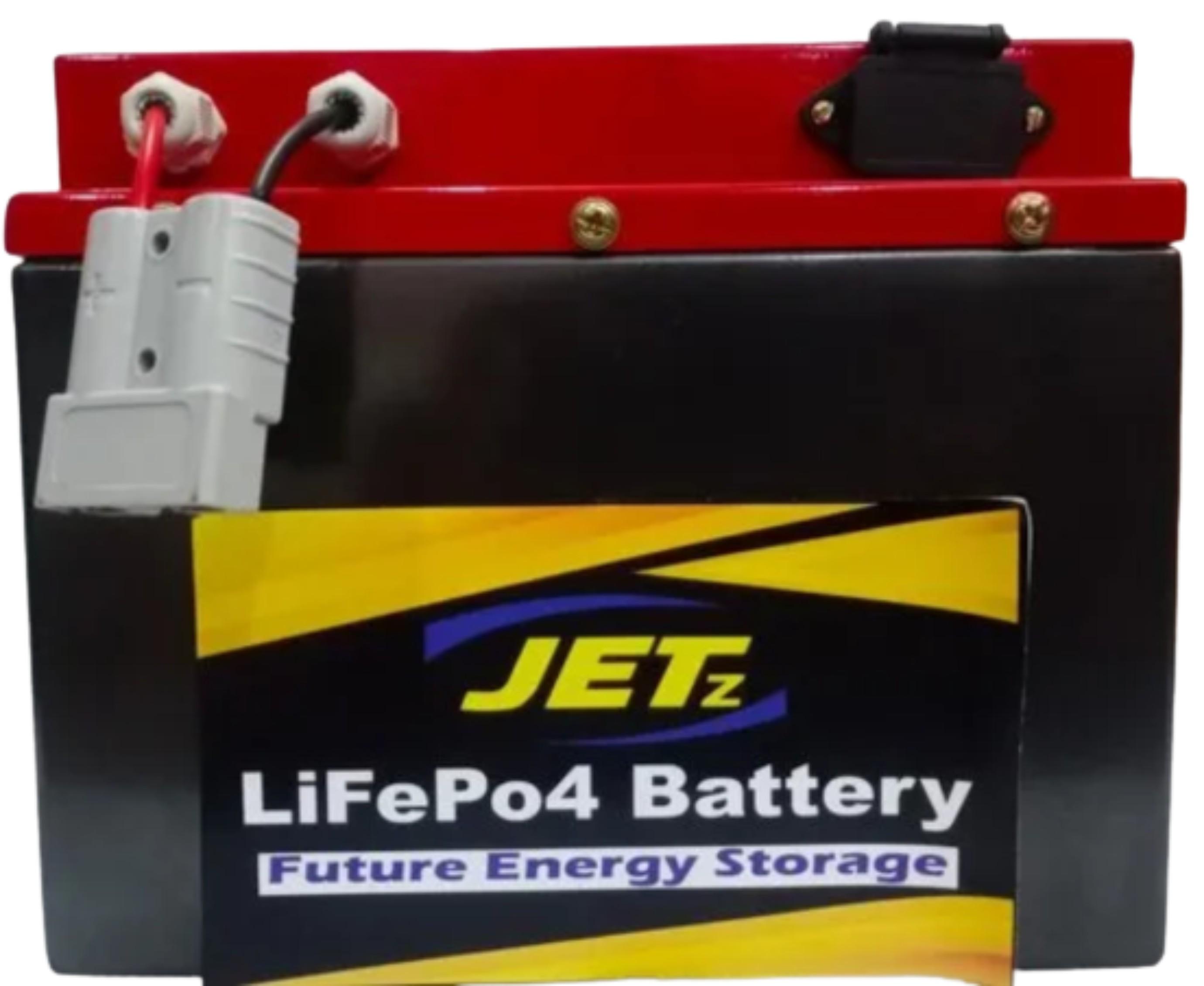 Buy 36 Ah 48 V Lithium Ion Batteries online at best rates in India | L ...
