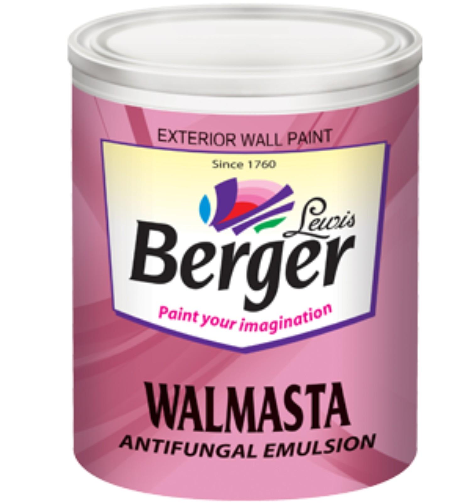 Buy Berger Rustic Pottery Exterior Emulsion Paints 10 L online at best ...