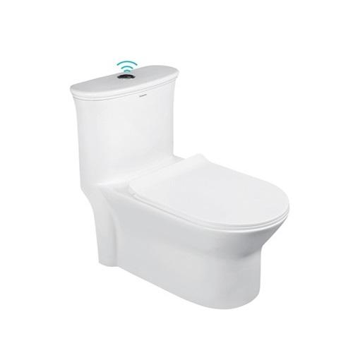 Buy Simpolo EWC with Seat Cover and Flush SWIM Floor Mounted online at ...