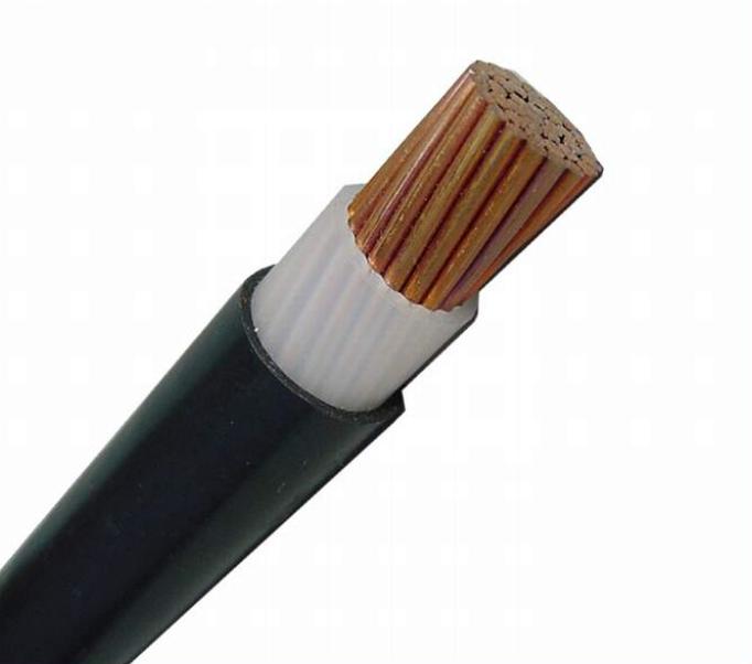 Buy Rallison Copper XLPE Unarmoured PVC LT Power Cables 1 Core 120 sqmm ...
