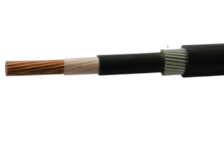 Buy Rallison Copper XLPE Round Wire Armoured PVC LT Power Cables 1 Core ...