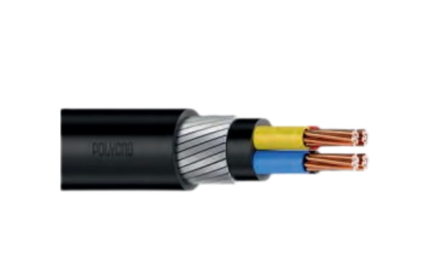 Buy Polycab 2 Core 10 sqmm Industrial Flexible Cables 1000 m Copper ...