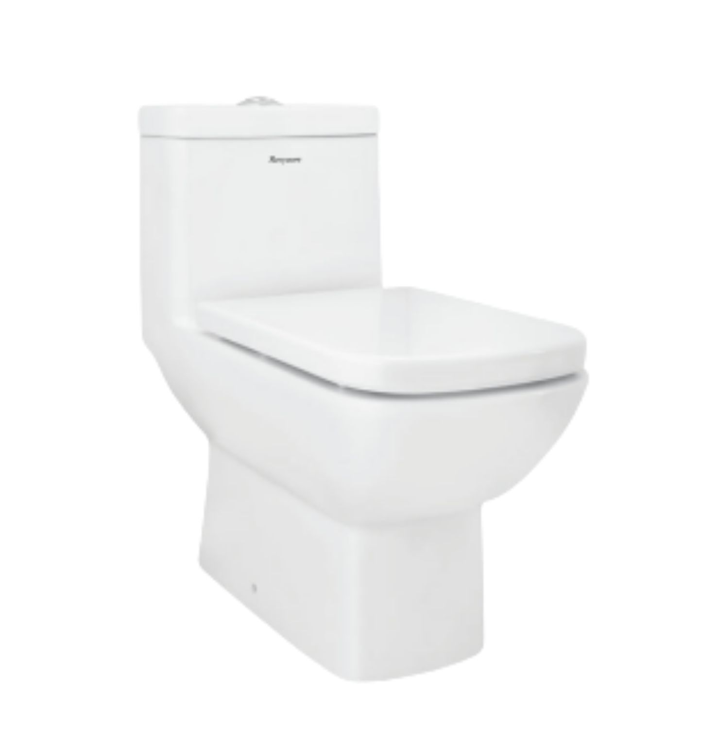 Buy Parryware EWC with Seat Cover and Flush Verve Senso Floor online at ...