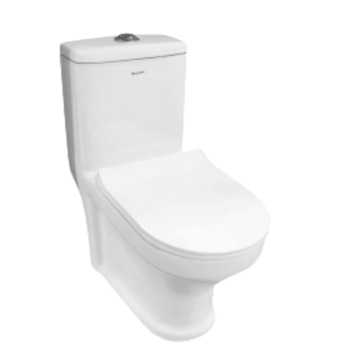 Buy Parryware EWC with Seat Cover and Flush Activa Floor online at best ...