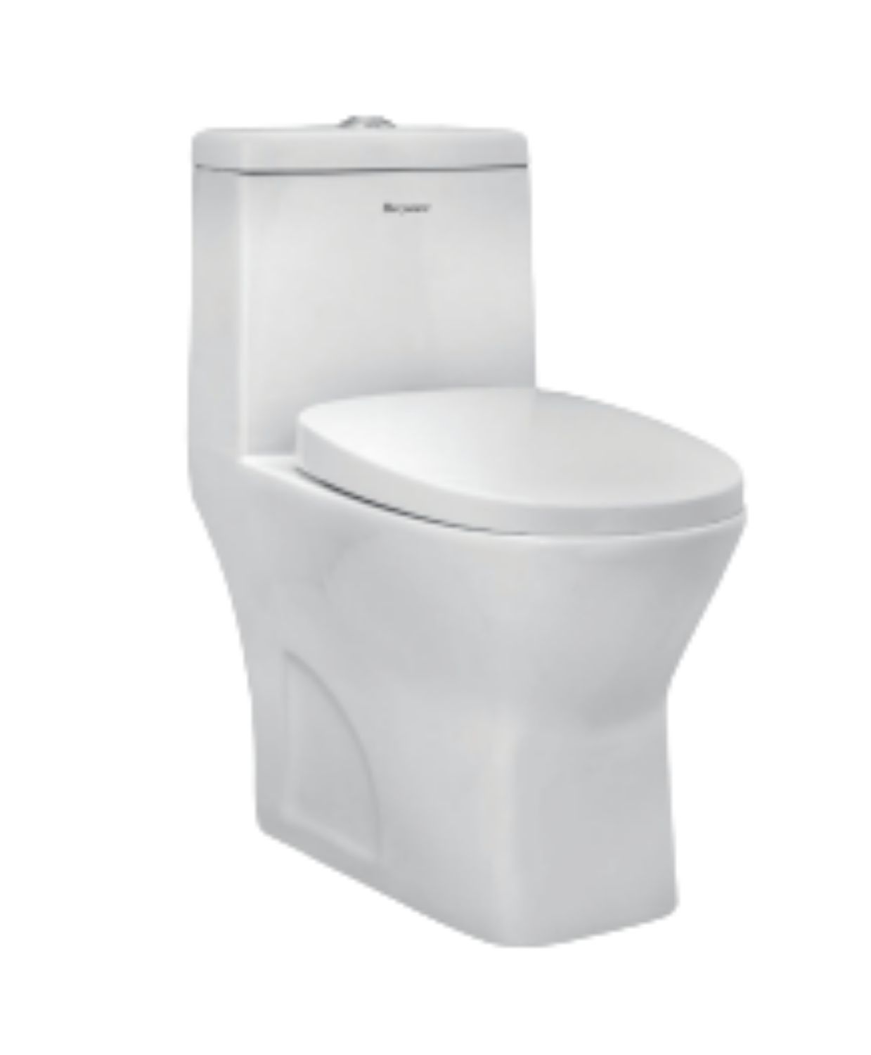 Buy Parryware EWC with Seat Cover and Flush Verve AM Floor online at ...