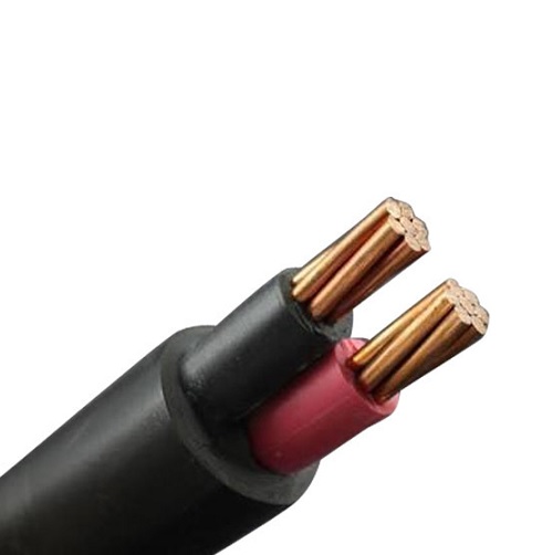 Buy Ultracab Copper XLPE Unarmoured PVC LT Power Cables 2 Core 16 sqmm ...