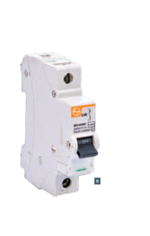 Buy L&T Exora BB10060C Single Pole 6 A C Curve MCB online at best rates ...