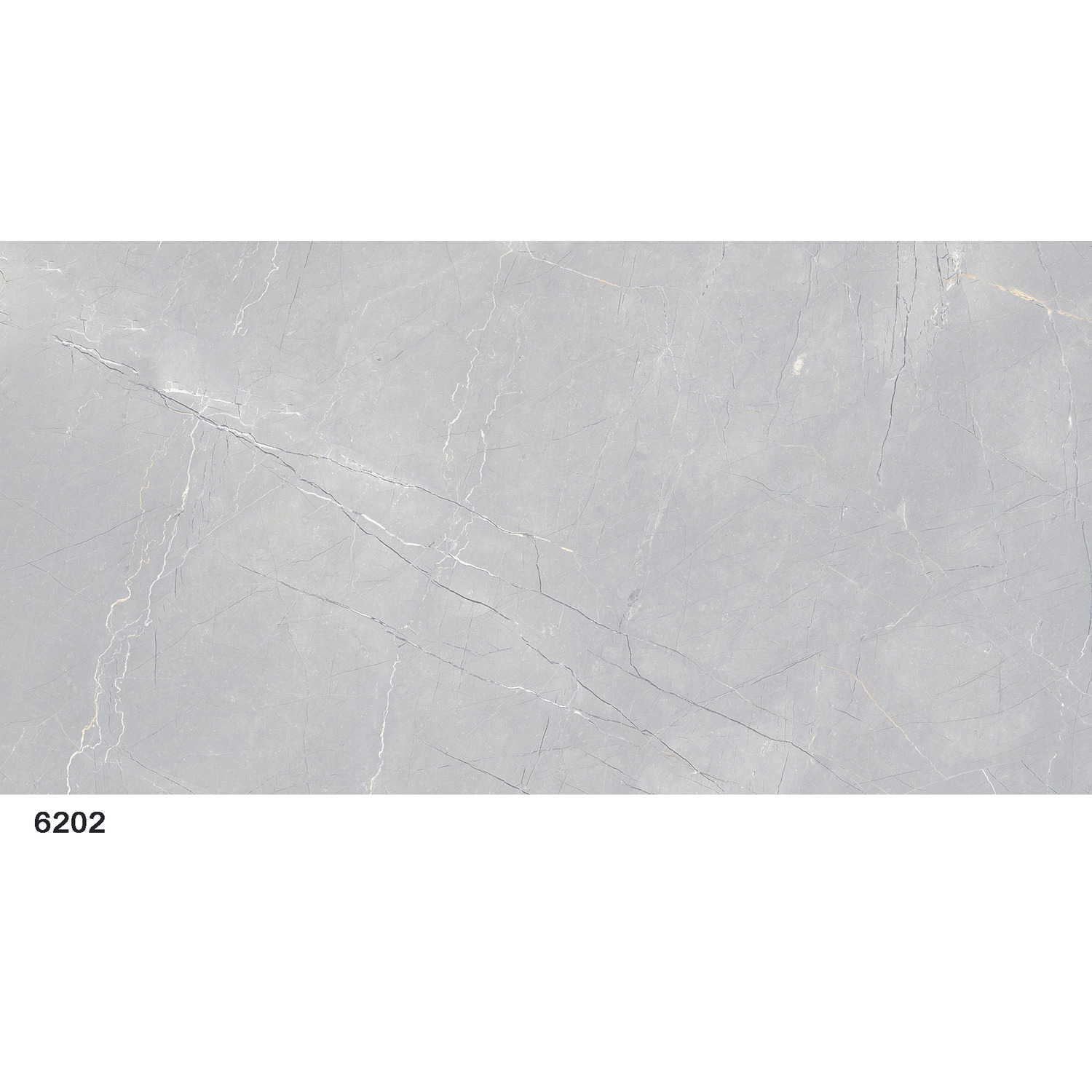 Buy Ambani CASA 60 x 120 cm 6202 - Light Grey Full Polished Vitrified ...