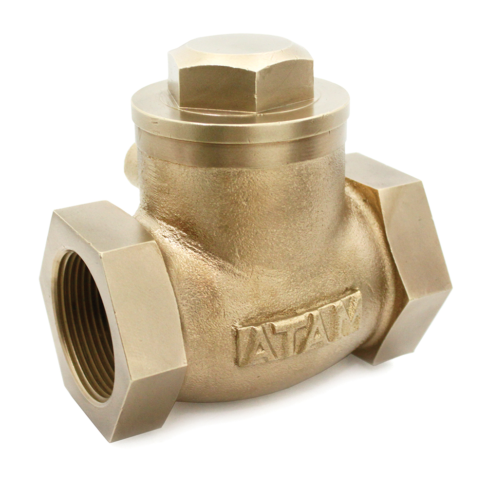 Buy ATAM Bronze Check Valves AV-76 32 mm online at best rates in India ...