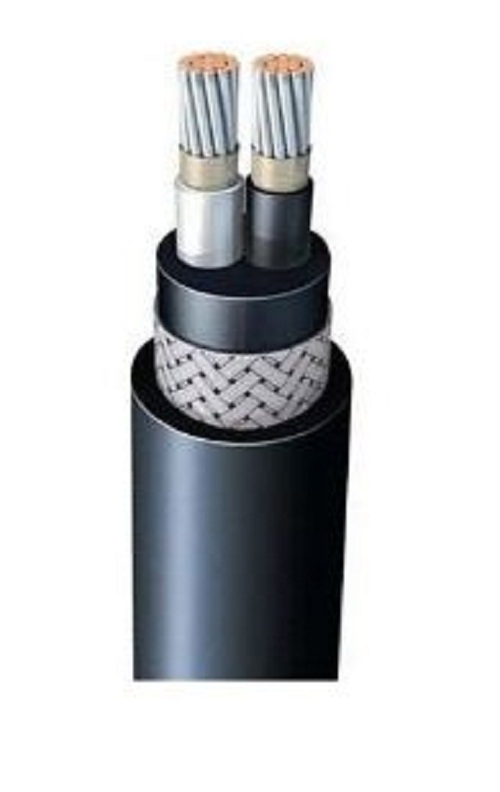 Buy Aluminium HRFR Armoured PVC LT Power Cables 2 Core 10 sqmm 1.1 kV ...