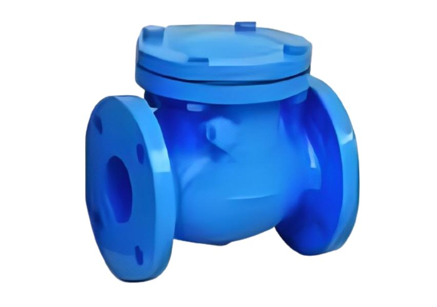 Buy Cair Swing Type CI Non Return Valves 50 mm Flanged NRV online at ...