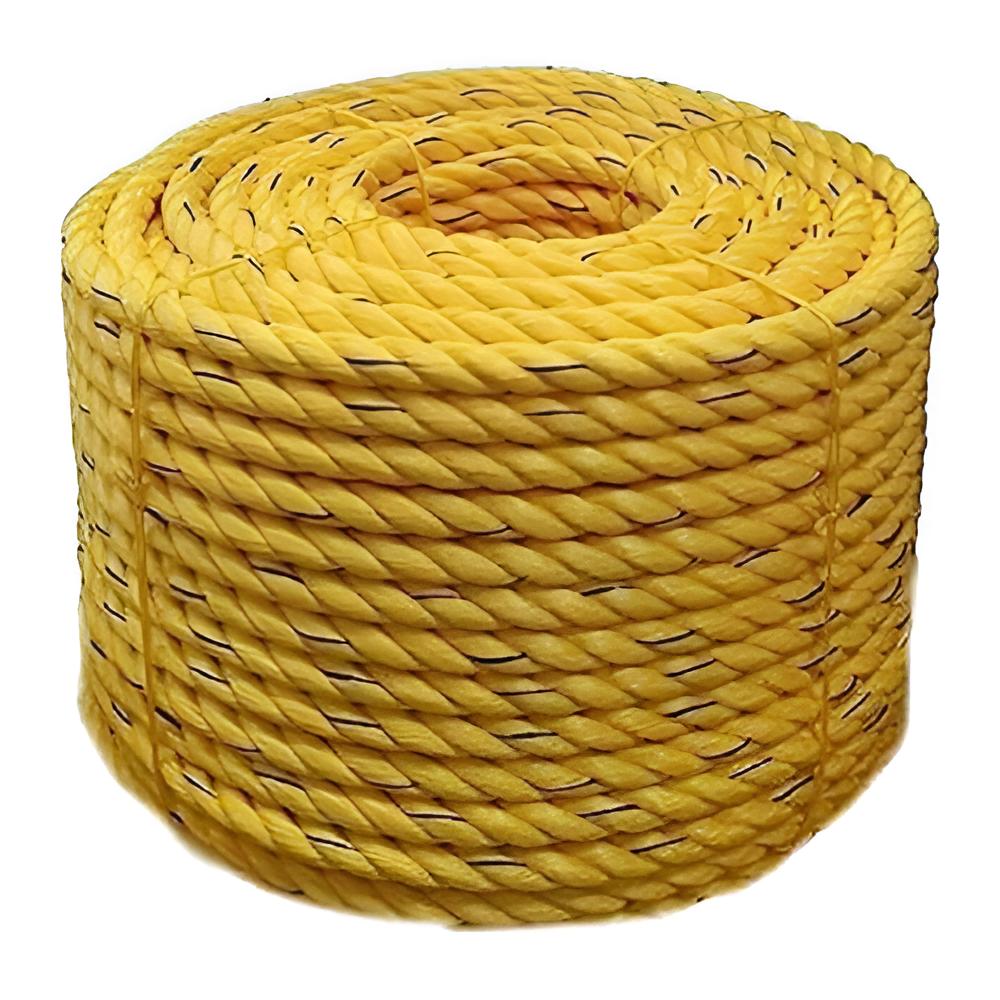 Buy Polypropylene Dan Line 20 mm Ropes Yellow 6900 kg online at best ...
