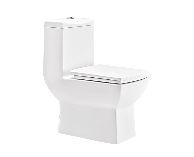 Buy CERA EWC with Seat Cover and Flush CLAYTON 220 Floor online at best ...