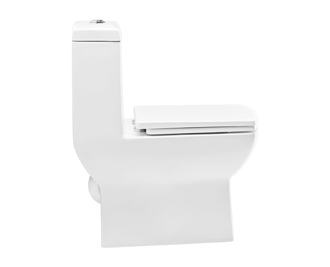 Buy CERA EWC with Seat Cover and Flush CLAYTON 220 Floor online at best ...