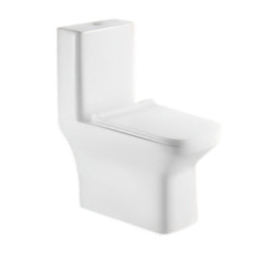 Buy Hindware EWC with Seat Cover and Flush Element 92082 (S-30) Floor ...